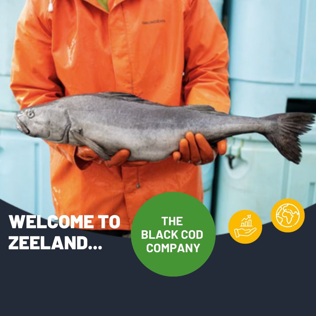 AquaFounders Capital Secures Funding from InnoGo! Fund for Europe’s ...