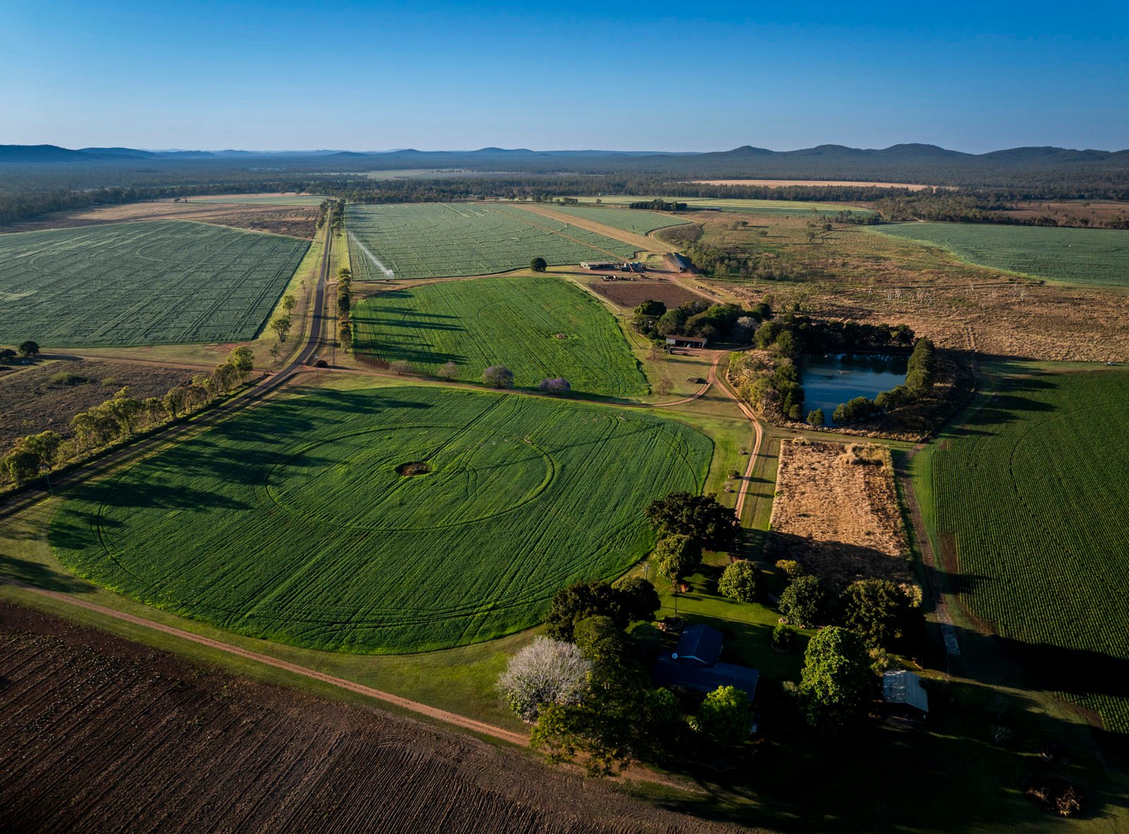 Viem Ventures, CBRE Managing Sale of Red Bend Farming with 12,519 ML of ...
