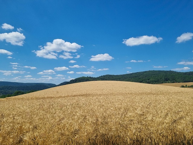 Twenty Private Equity Investors Make CAD5 Billion Commitment to Farm ...