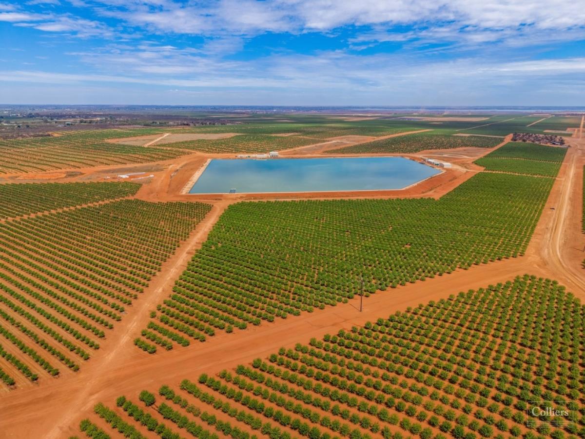 Colliers Tapped by RRG to Manage Sale of Koompartu Farms, One of ...